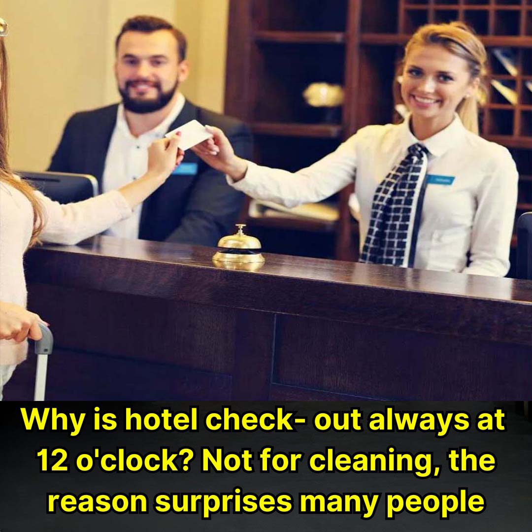 Why is hotel check-out always at 12 o’clock? Not for cleaning, the ...