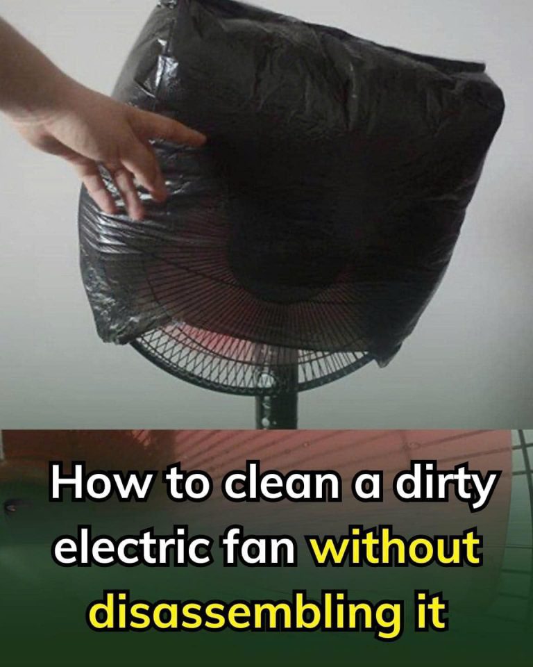 Clean a Fan Without Taking It Apart - Wake Up Your Mind