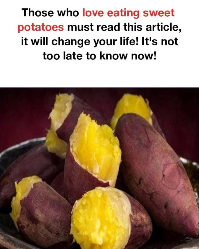 Those who love eating sweet potatoes - Wake Up Your Mind