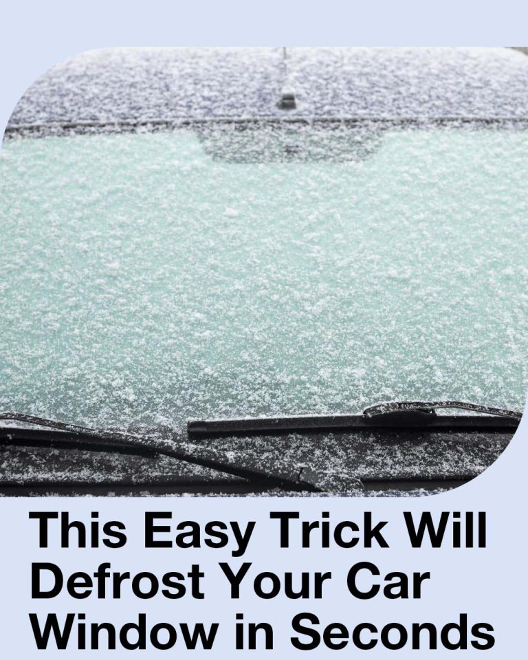This Easy Trick Will Defrost Your Car Window in Seconds - Wake Up Your Mind