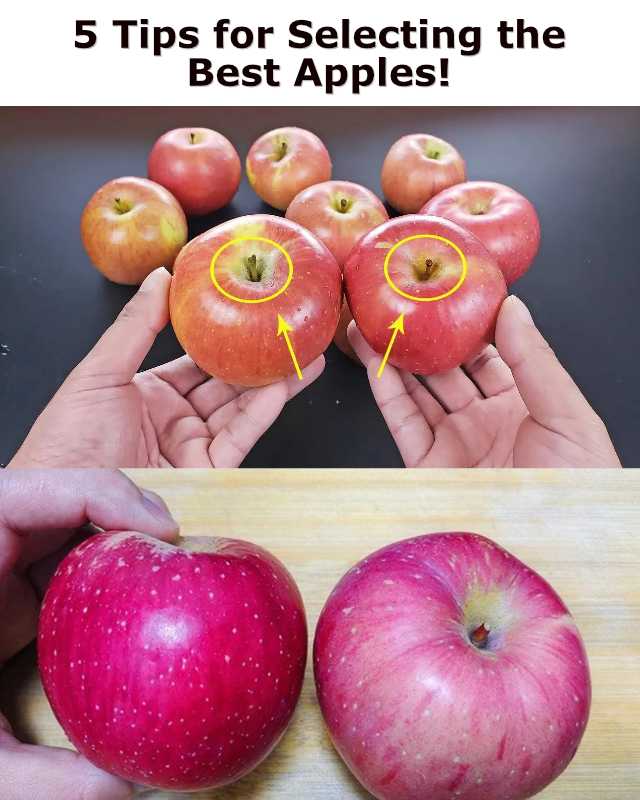 5 Tips for Selecting the Best Apples! One Second to Identify Crispy and ...