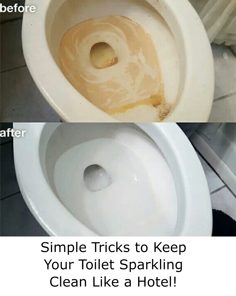 How to Effectively Clean Your Toilet Using Natural Ingredients