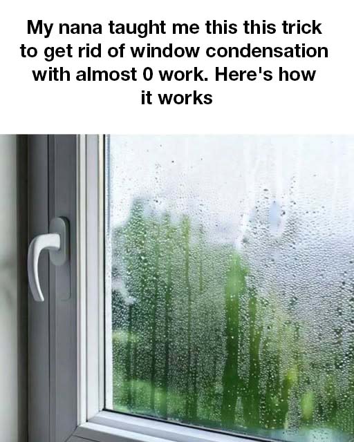 My nana swears by this trick to get rid of window condensation with ...