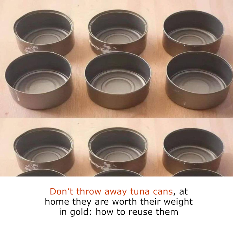 Don’t throw away tuna cans, at home they are worth their weight in gold ...