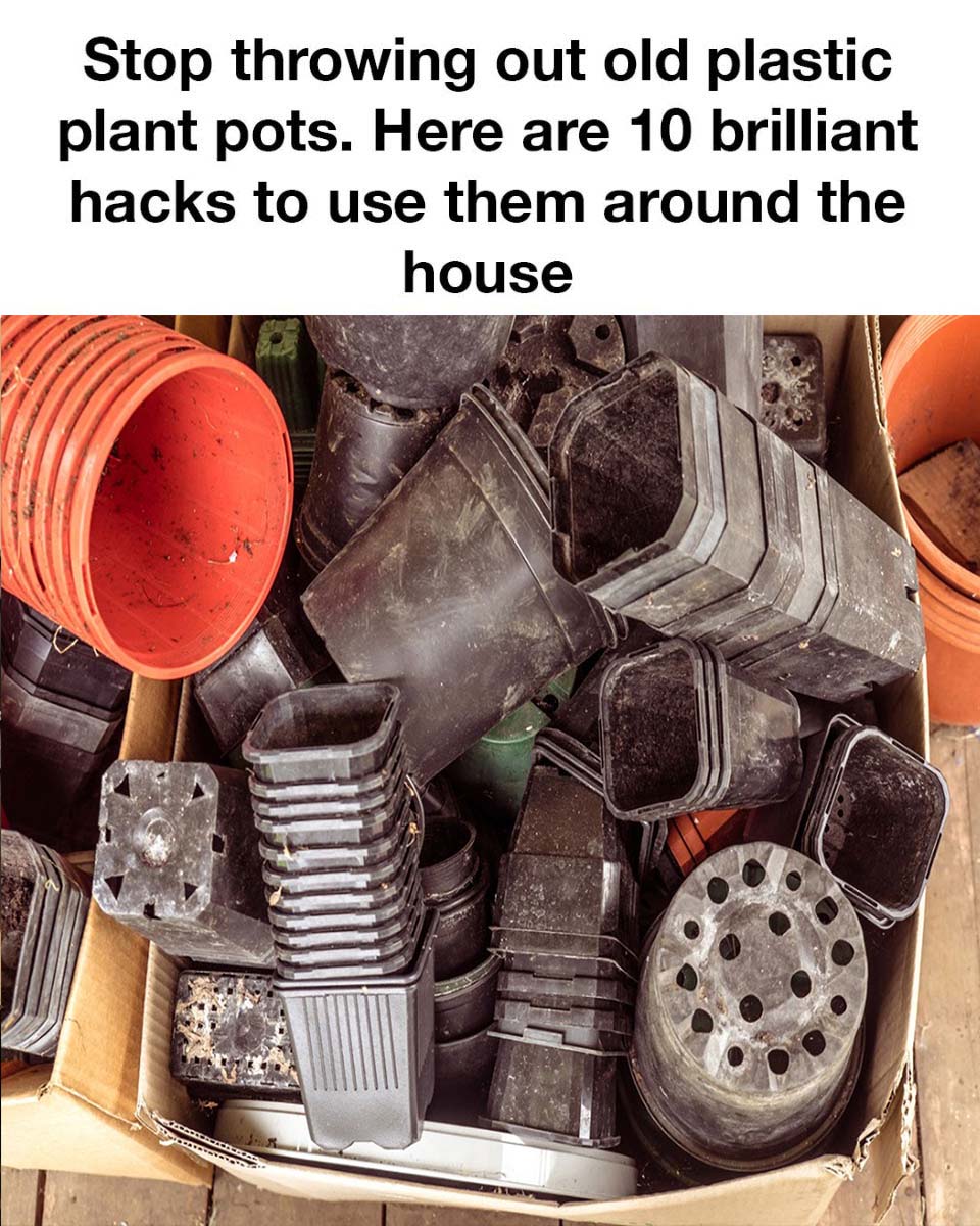 Stop throwing out old plastic plant pots. - Wake Up Your Mind