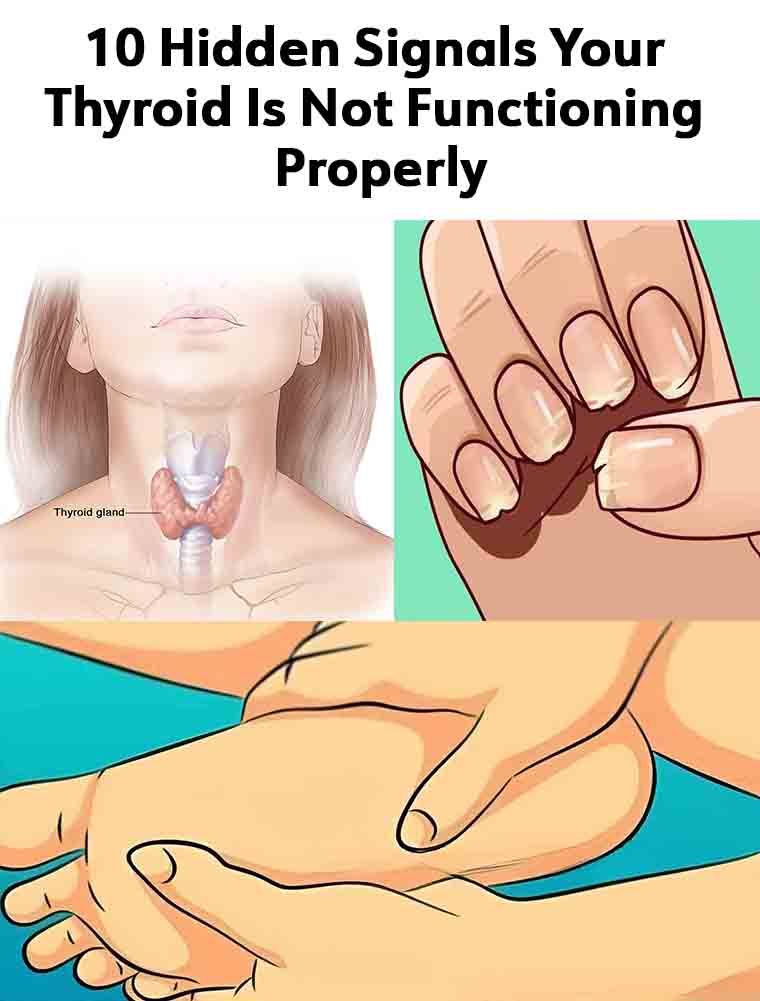 10 Signals Your Thyroid Is Not Functioning Properly - Wake Up Your Mind