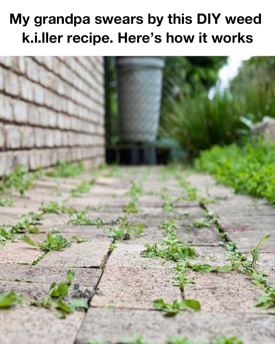 So good to know! - Wake Up Your Mind