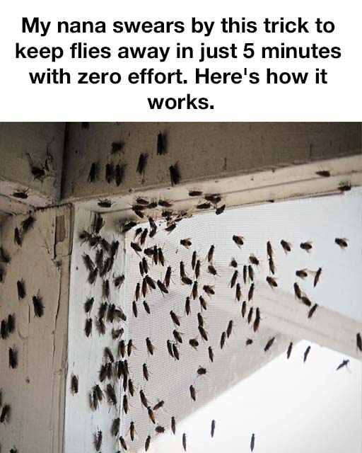 I seriously had no idea of this method. - Wake Up Your Mind