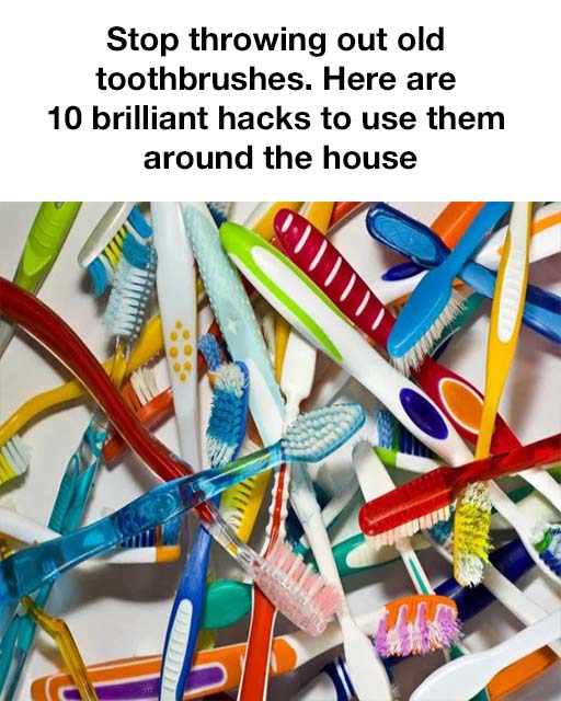 Stop throwing out old toothbrushes. - Wake Up Your Mind